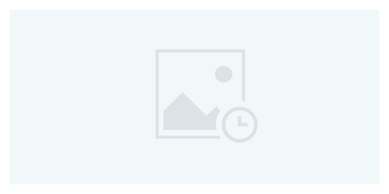 Heat Exchanger Inspection, Heat Exchanger Inspection Camera, Heat ...